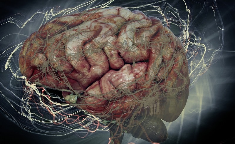 8 různých faktorů které mají zásadní vliv na náš mozek - Mirdo.cz